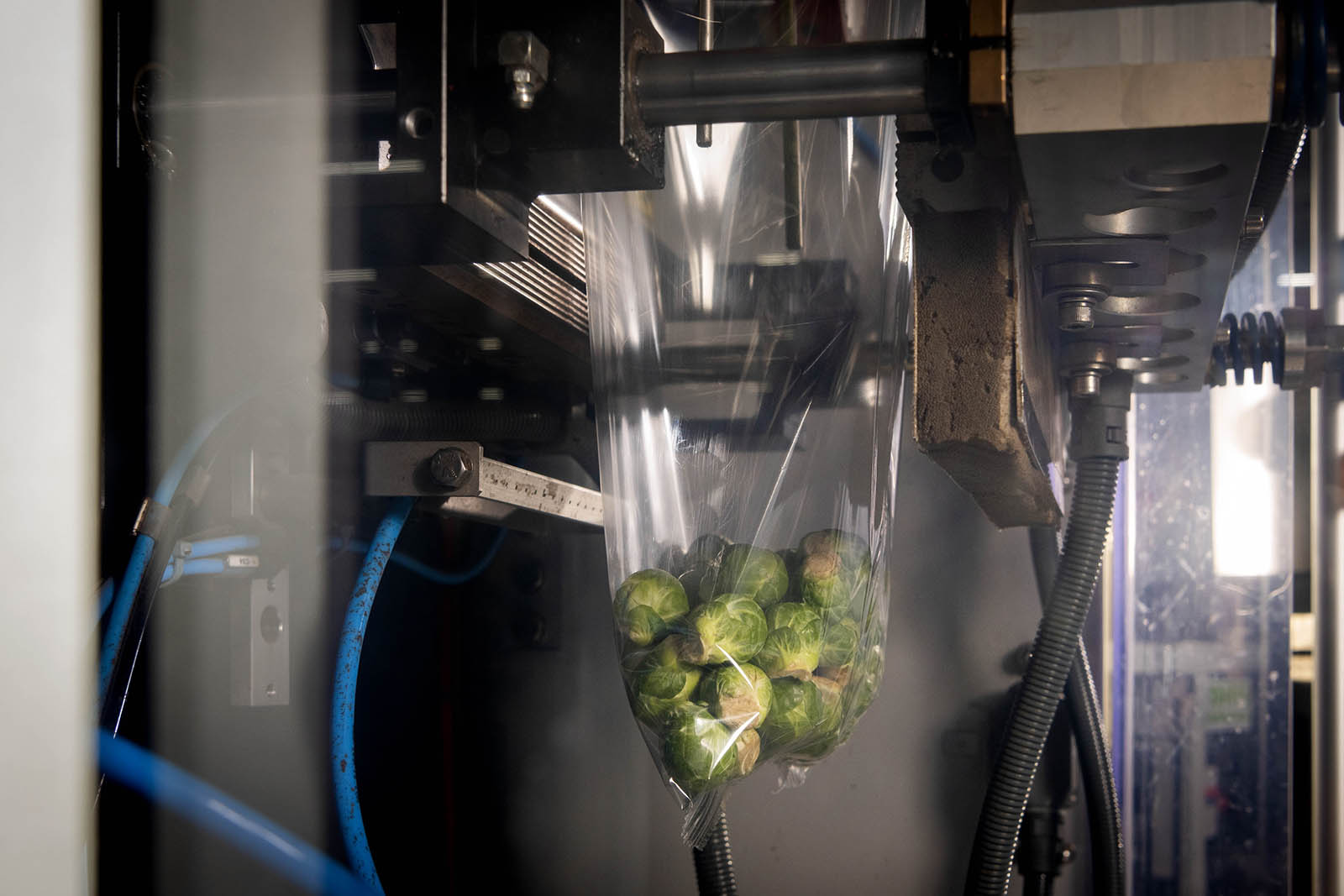 Verpakkingsmachines - Actitec Specialist in de verpakkingsindustrie