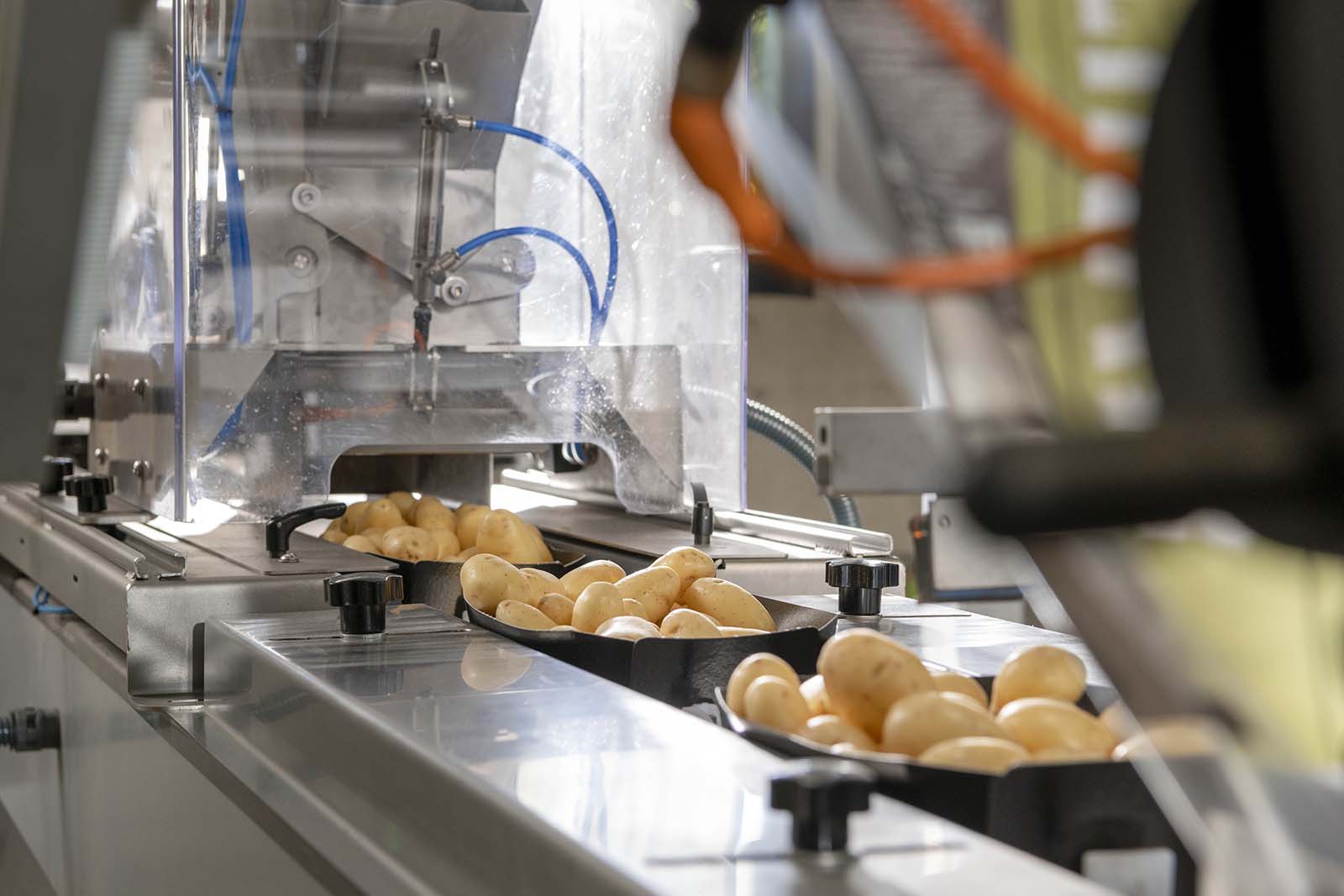 Vakkenband - Actitec